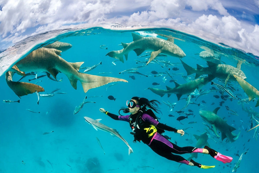 The Ultimate Diver’s Guide to Weights, Weight Belts & Weight Pockets ...