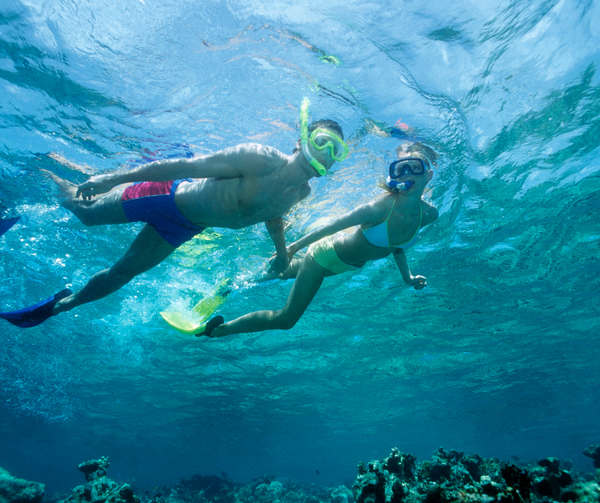 Snorkel Anatomy: How to Choose a Snorkel Based on Design – Mikes Dive Store