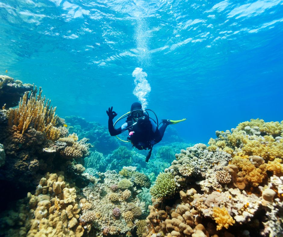 Top 10 Scuba Diving Tips From The Pros – Mikes Dive Store