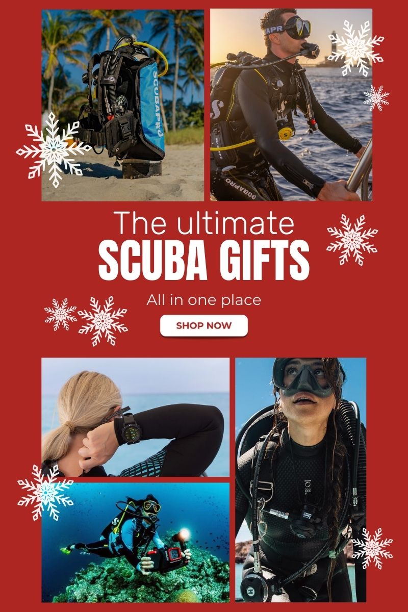 The Ultimate Holiday Gift Guide for Scuba Divers – Shop All in One Pla ...