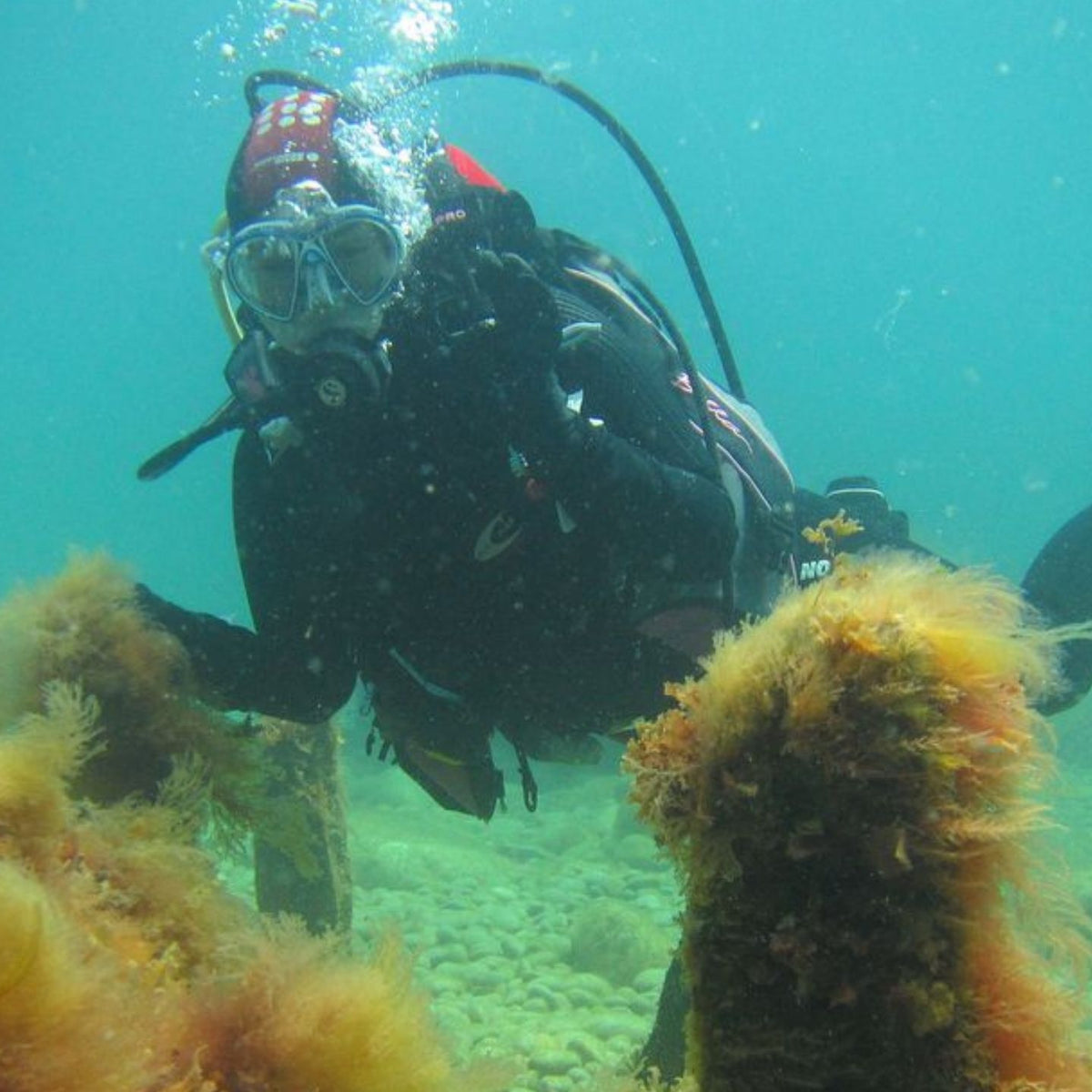 Why is UK Diving So Special? – Mikes Dive Store