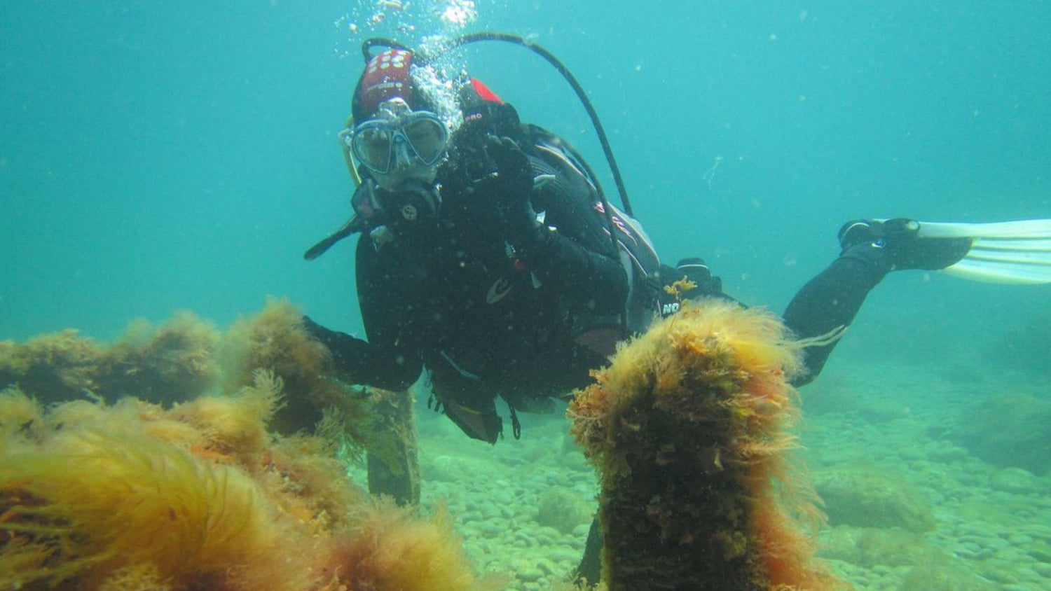 Why is UK Diving So Special? – Mikes Dive Store