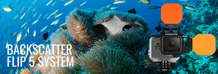 Backscatter Flip 5 System For GoPro Cameras – Mikes Dive Store