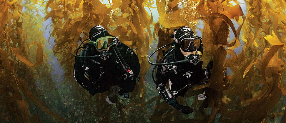How to be a Good Dive Buddy | Mike's Dive Store – Mikes Dive Store