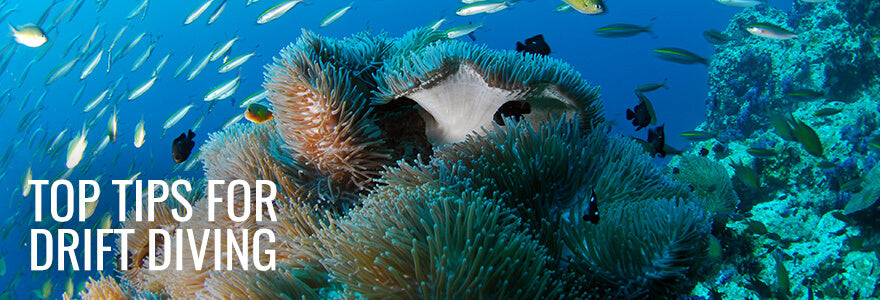 Top Tips for Drift Diving – Mikes Dive Store