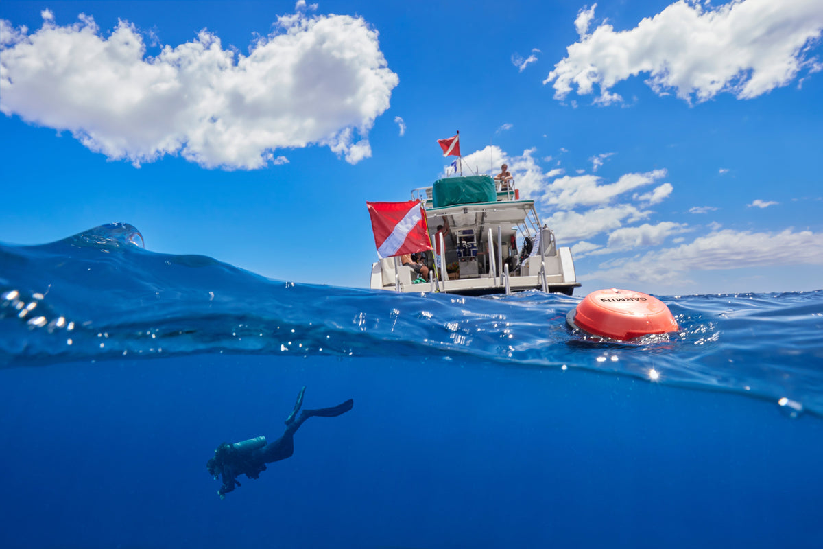 Dive Into the Future: Garmin Descent S1 Buoy Is Here – Mikes Dive Store