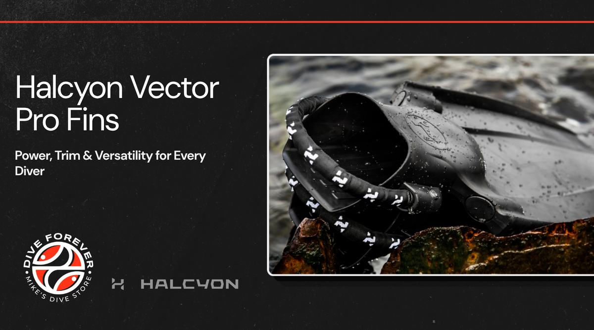 Halcyon Vector Pro Fins: Power, Trim & Versatility – Mikes Dive Store