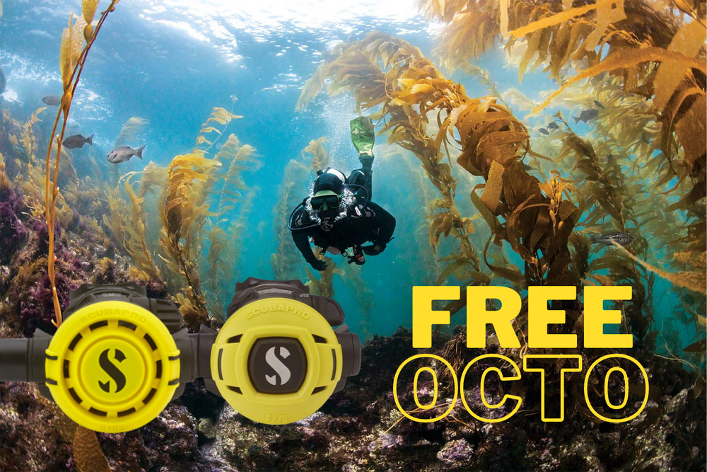 Mike's Dive Store | UK's Largest Dive and Snorkelling Equipment Shop ...