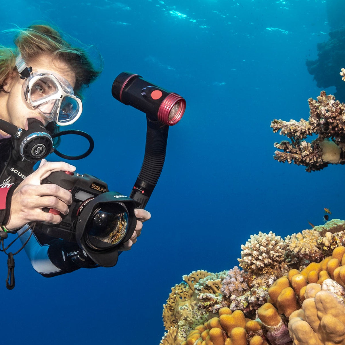 Sealife Underwater Cameras – Mikes Dive Store