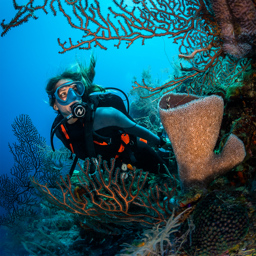 Mike's Dive Store | UK's Largest Dive and Snorkelling Equipment Shop ...