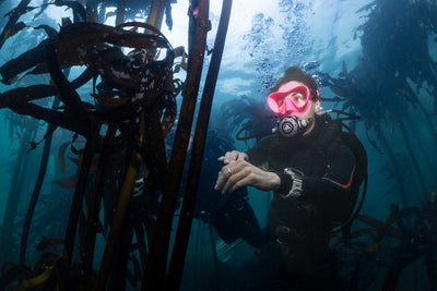 Beuchat Dive Equipment – Mikes Dive Store