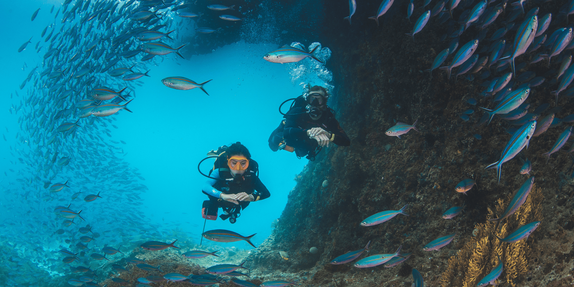 Scuba Diving Brands | Mike's Dive Store – Mikes Dive Store