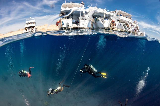 Camel Dive Hotel Special | Mike's Dive Store – Mikes Dive Store