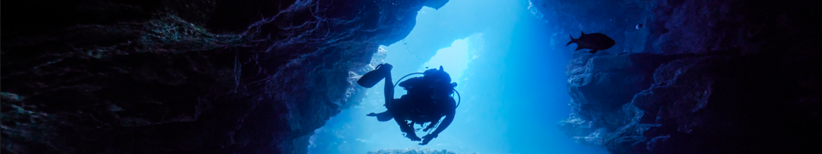 Bottom Timers – Mikes Dive Store