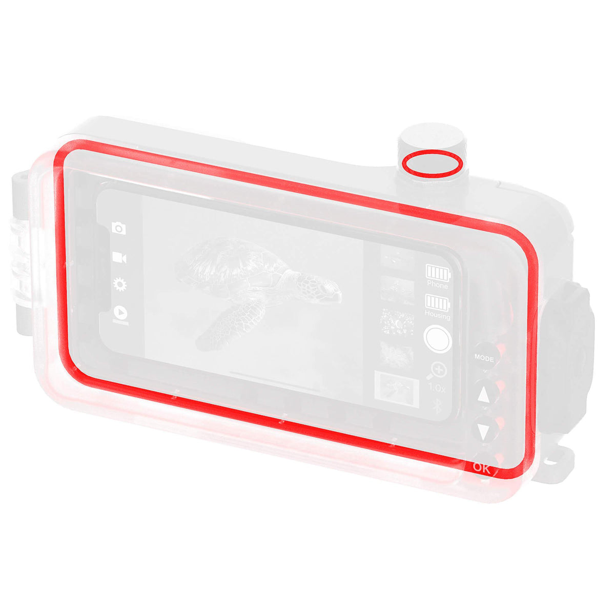 Sealife Spare O Ring Set for SportDiver Housing | Mike's Dive Store ...