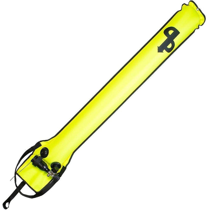 AP Valves Dive Equipment – Mikes Dive Store